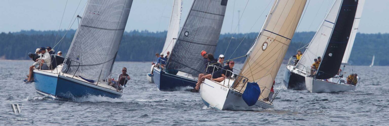 Chester Race Week | August 13-17, 2024