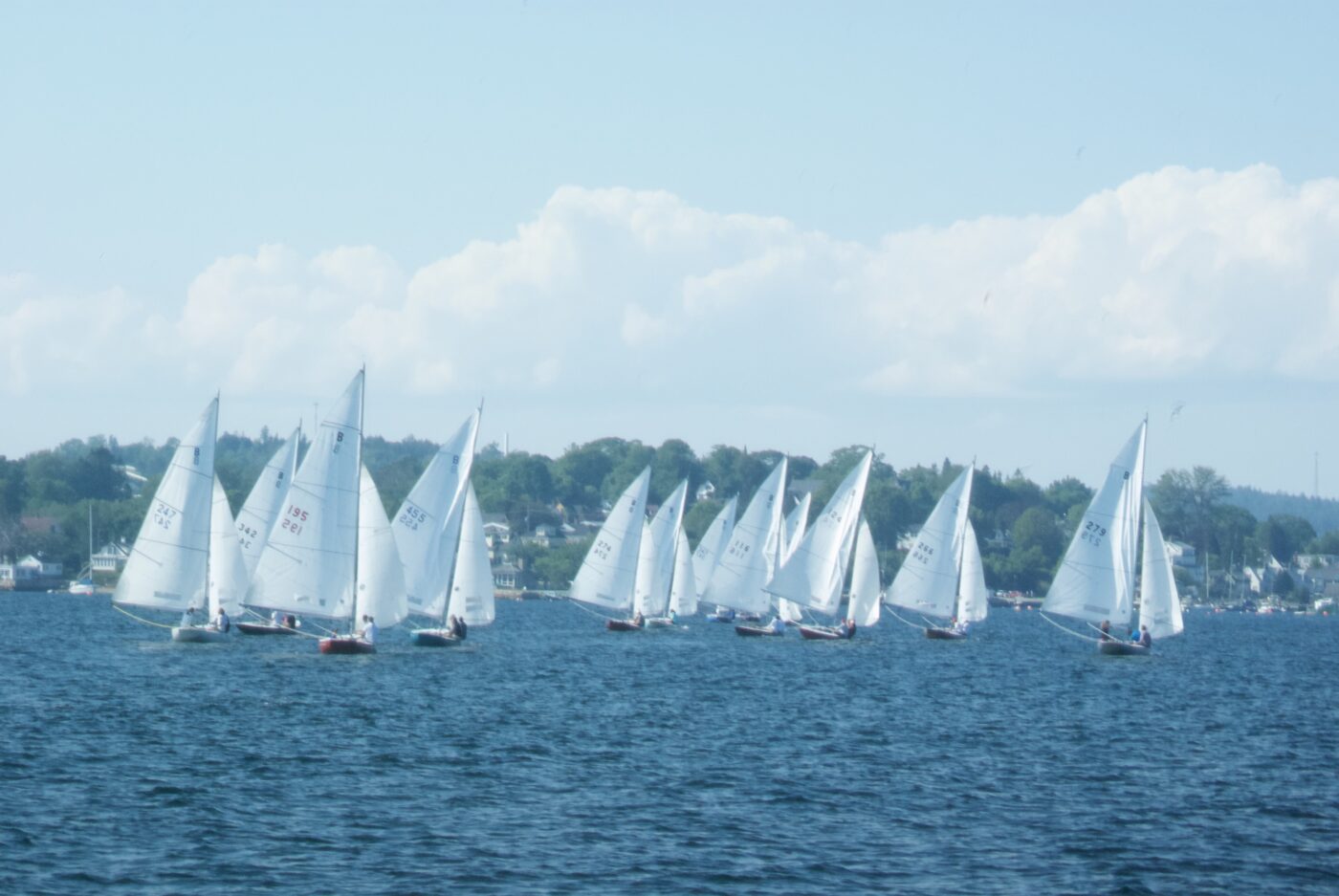 See Helly Hansen Chester Race Week up close with Salty Dog Sea Tours ...